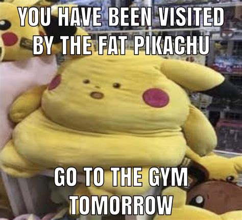 Fat Pikachu Rmemes