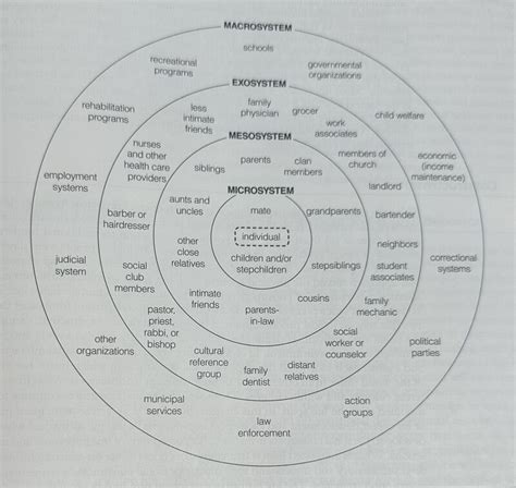 Vojsava Toma Syku On Linkedin Ecological System Map