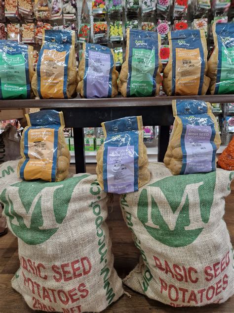 Growing Seed Potatoes Keanes