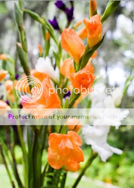 Country Club Flower Shop Soul Mates Danny And Danielle At Lue Gardens