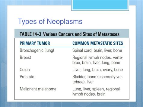 Ppt Oncology Powerpoint Presentation Free Download Id1977669