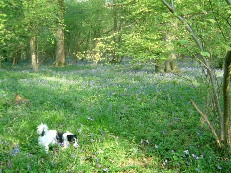 Sunshine Attic A Random Collection Of Creative Thoughts Page 3