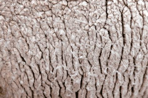 Proyecto Foto Documental 28 Images Behance