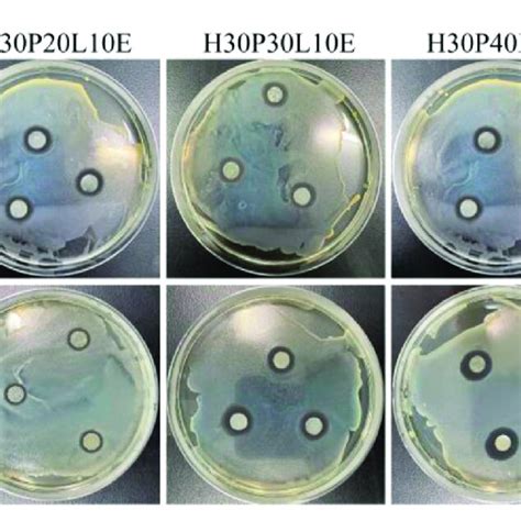 Digital Photograph Of The Composite Films A Surface B And Download Scientific Diagram