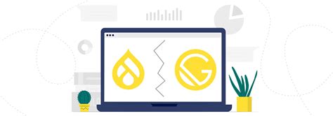 how to decouple drupal with gatsby anyforsoft