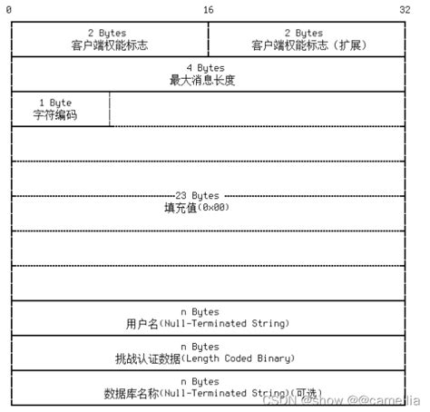 Mysql 协议（非常详细适合小白学习） Csdn博客