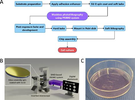 Figure 1 From Rapid Prototyping Of Organ On A Chip Devices Using
