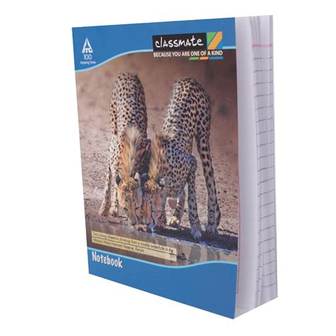 Buy Classmate Exercise Notebook Single Ruled 172 Pages Online ₹21