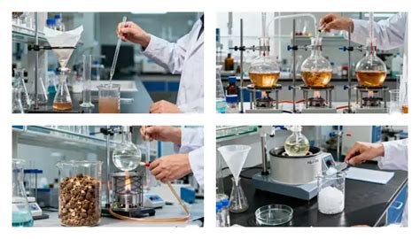 Is Propyl Gallate Natural Rebecca