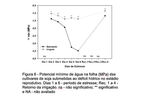 Physiological Parameters Of Soybeans Under Water Stress Revista Cultivar