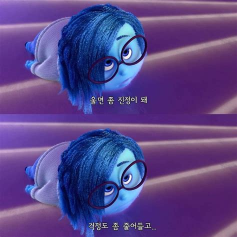 슬픔이가 슬프지않고 행복했음 좋겠다😥 콜리 Colley