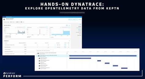Platform Engineering Tutorial Handson Handson1 Md At Main · Dynatrace