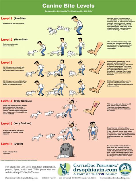 Dog Bite Scale Sophia Yin Pdf