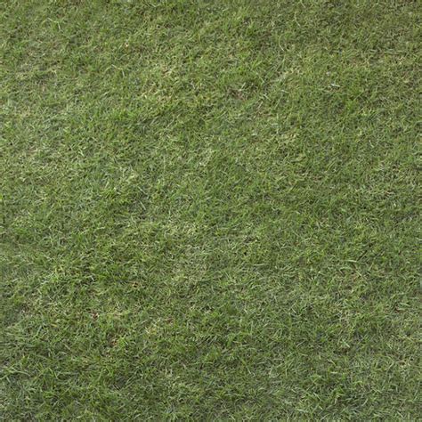 Grass Textures 30 Free  Png Psd Ai Vector Eps Format Download