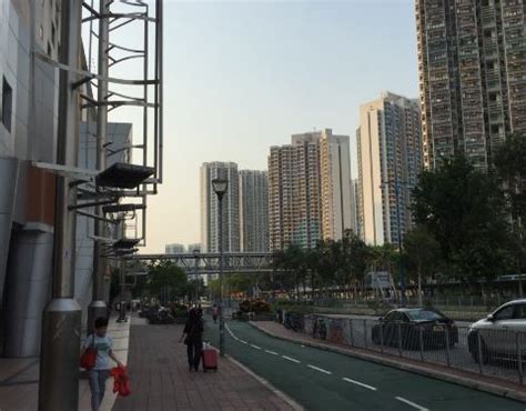 2026天水围门票香港天水围游玩攻略天水围游览攻略路线地址门票价格 【去哪儿攻略】