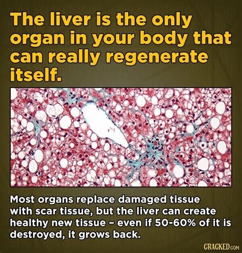 34 Bits Of Trivia That Youre Converting From 0s And 1s Into Newly Forged Neural Pathways At