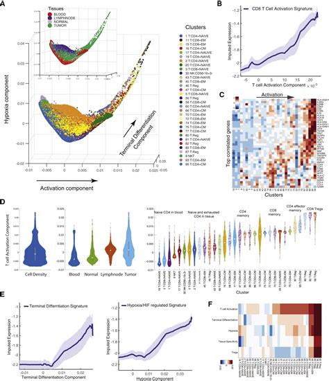 Single Cell Map Of Diverse Immune Phenotypes In The Breast Tumor
