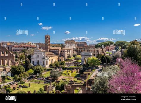 Palatine Hill Rome Italy The Palatine Hill In Rome Italy This Is
