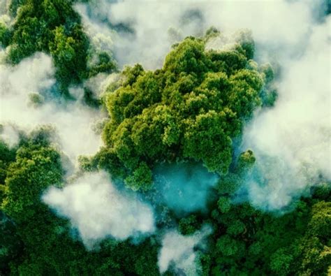 Insight Report 5 Key Operational Pathways To Accelerate Industrial