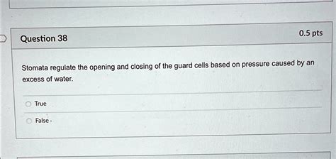 solved question 38 0 5pts stomata regulate the opening and closing of