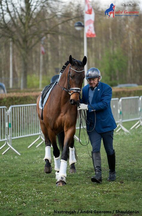115 Ik Zit Scheef Op Mijn Paard Als Fluisteren Niet Helpt