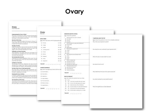 Ovary Made By Teachers