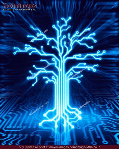 Glowing Digital Tree Circuits Conceptual Illustration Stock Image Mxi27437