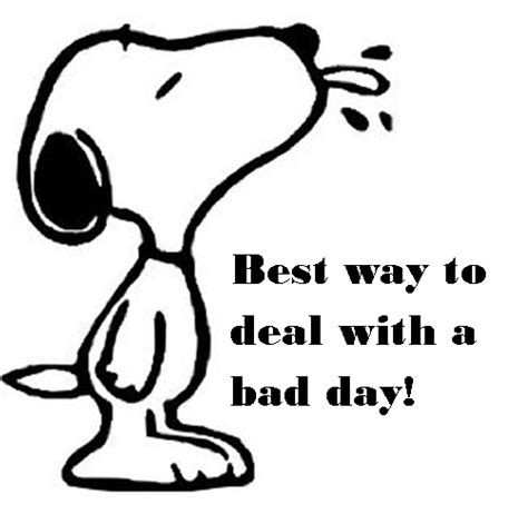 Pin By Glenda Bennett On Cricut Ideas Snoopy Love Snoopy Funny