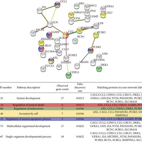 String Analysis Uncovering Protein Protein Interactions And Biological