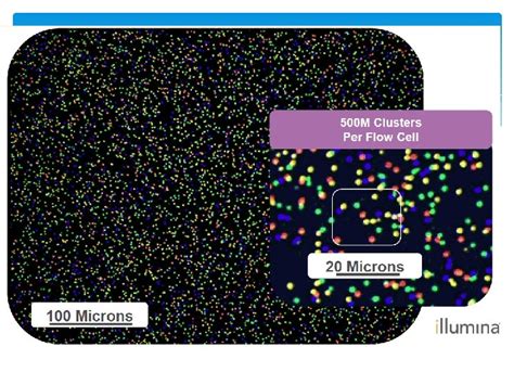 Statistical Genomics Lecture 6 Genotype Zhiwu Zhang Washington
