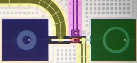 Physics One In Three Out For Microwave Photons