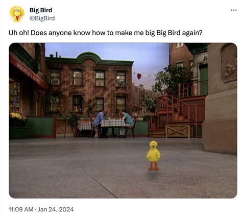 Big Bird Small Small Big Bird Know Your Meme