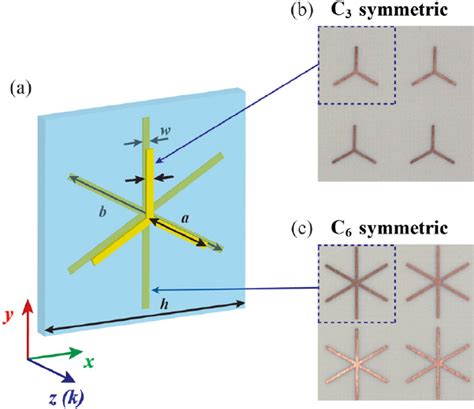 Schematic Of The Polarization Dependent Structure A 3d Side View Of