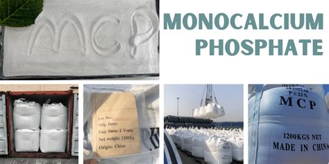 China Mcp In Poultry Feed Suppliers Producer Manufacturers Factory