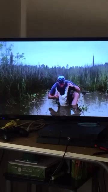 Gator Bite Rinternetcity