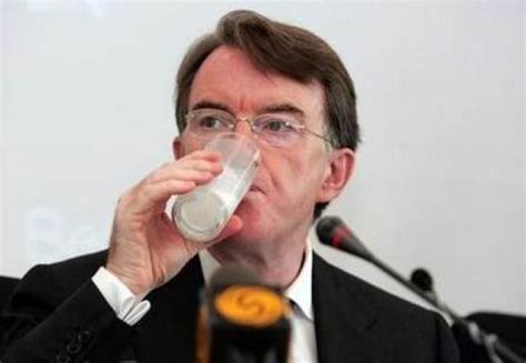 Peter Benjamin Mandelson Biography British Politician