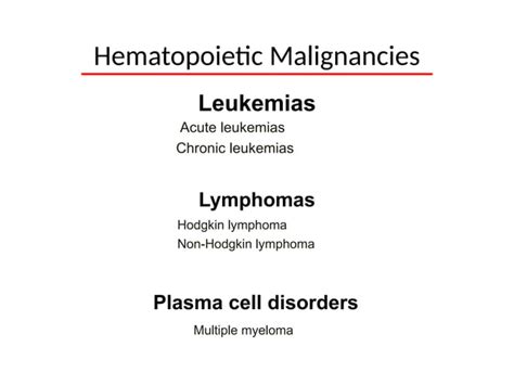 Acute Myeloid Leukemia Classification Pptx