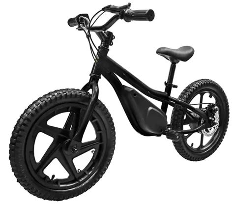 Massimo E 14a00 Electric Bike User Manual