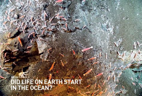 Did Life Start In The Oceans Spread