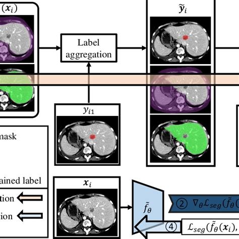Illustration Of The Training Process Of Colab Gω· Is Optimized To