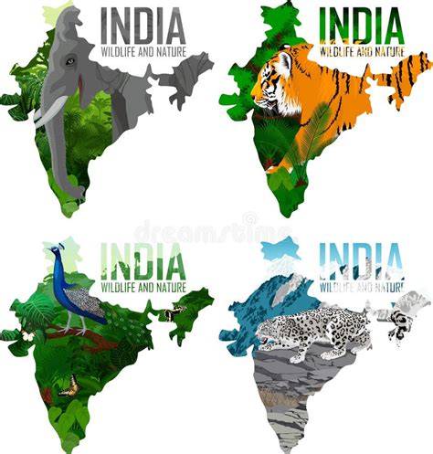 Map Of Where Peacocks Of India Live The Three Types Of Peafowl