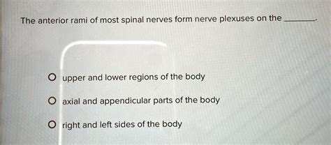 The Anterior Rami Of Most Spinal Nerves Form Nerve Plexuses On The Upper And Lower Regions Of