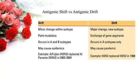 Antigenic Shift And Drift Pptx Cold And Flu Diseases And Conditions