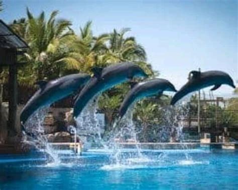 Ditlogolo Tsa Ga Mashishi