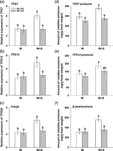 Effects Of Flavonoid Production And Simulated Whitefly Infestation On