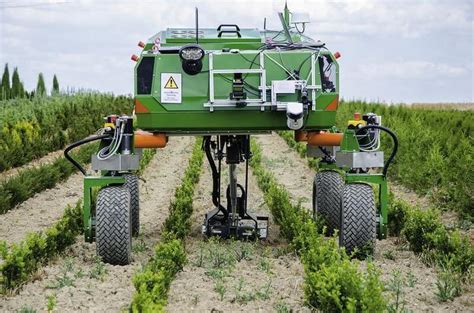 weed management with robotics and ai global plant protection news