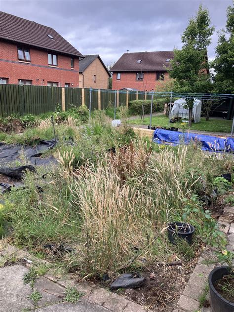 Teamtopek Esg Csr Socialvalue Topek Limited