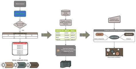 In Silico Drug Toxicity And Interaction Prediction For Plant Complexes Based On Virtual