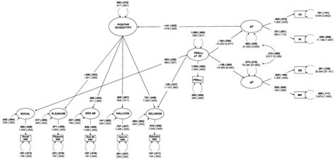 Portion Of The Model Of The Hierarchical Model Schizotypy Incorporating