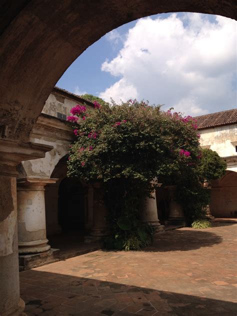 What Is Truth Two Trees In The Garden